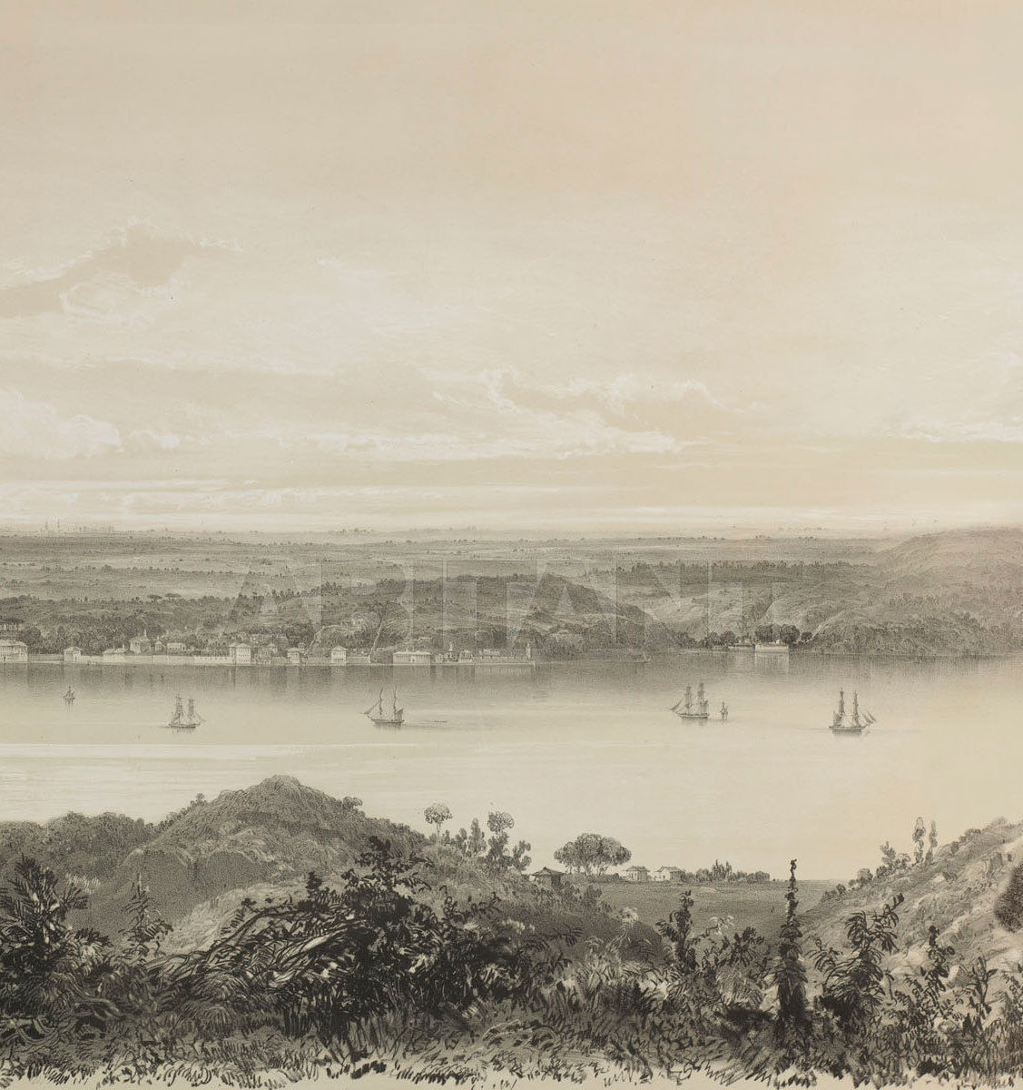 Wallpaper Ivory Iksel Schranz Sepia Bosphorus, : Buy, оrder оnline on ...
